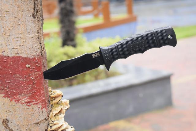 有如硬汉般简单好用！——SOG Mini海豹E37M直刀体验 - 生活 科技章鱼烧